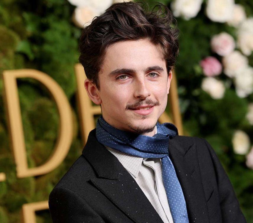Timothée Chalamet (American Actor) Biography | Profile Age